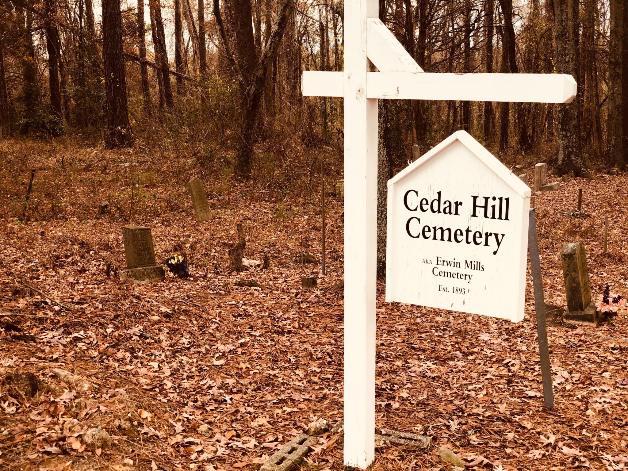 Preserving Legacies and Empowering Communities: Reimagining Sustainable ...